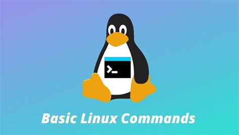 Comandos Basicos en Linux(Guia Completa)